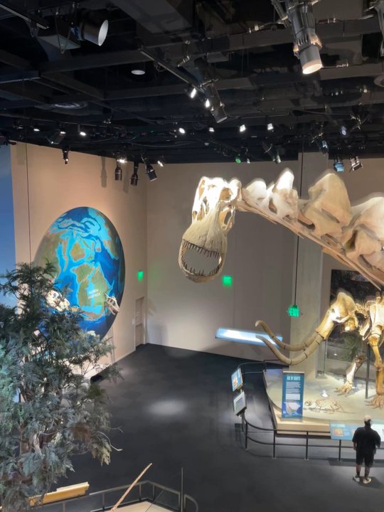 PEROT MUSEUM OF NATURE AND SCIENCE - Updated June 2025 - 2441 Photos ...