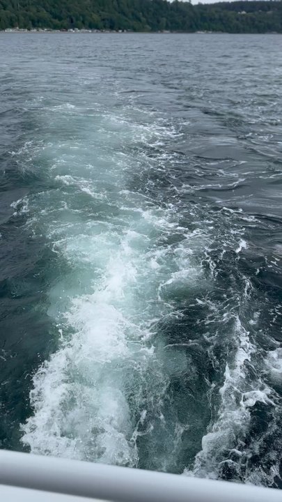 PUGET SOUND EXPRESS - Updated January 2026 - 231 Photos & 93 Reviews ...