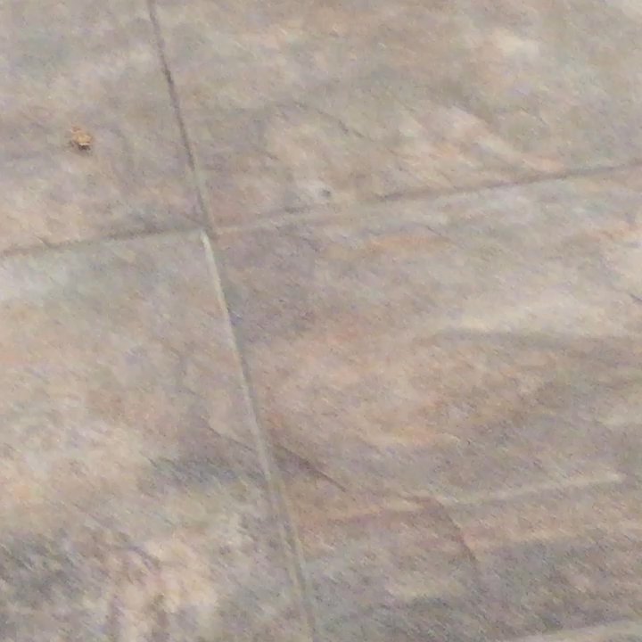 PROACTIVE WORK HEALTH SERVICES - Updated December 2025 - 14 Photos & 73 ...