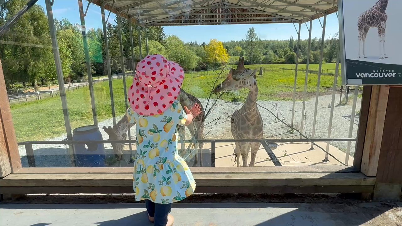 GREATER VANCOUVER ZOO - Updated May 2026 - 205 Photos & 79 Reviews ...