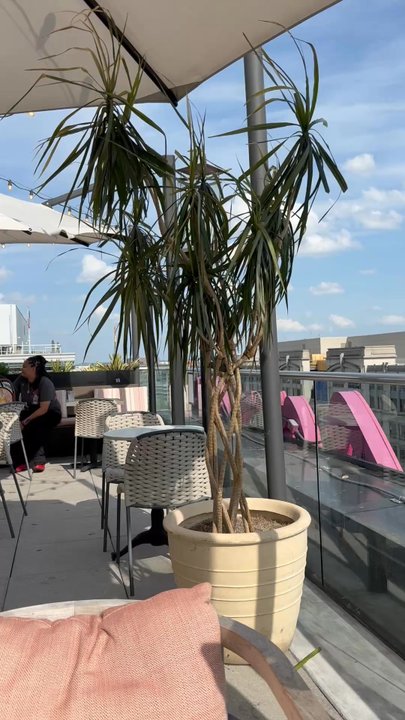 LUCHA ROSA ROOFTOP BAR - Updated August 2025 - 267 Photos & 117 Reviews ...