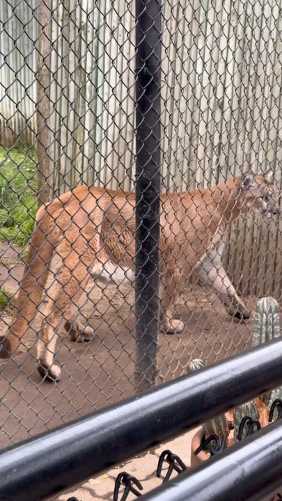 ORANGE COUNTY ZOO - Updated June 2026 - 1439 Photos & 410 Reviews - 1 ...
