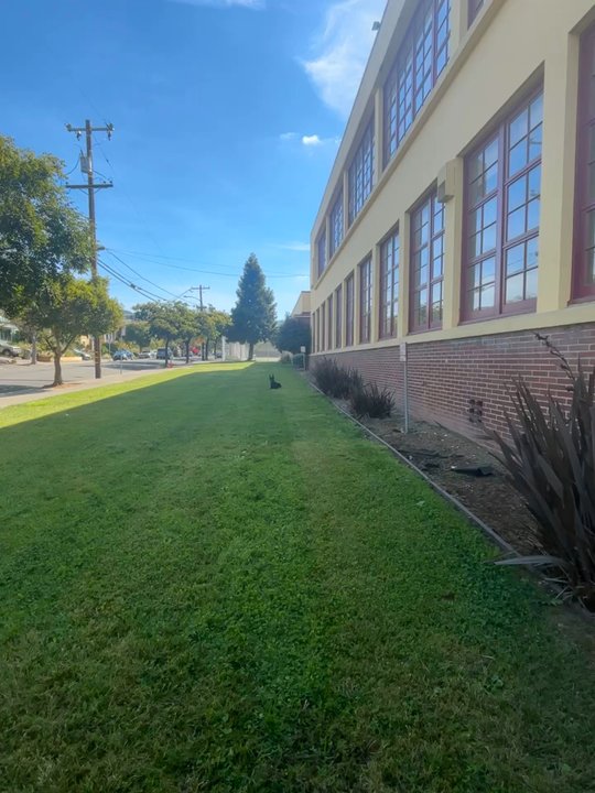 BAYNINE DOG TRAINING - Updated December 2025 - 49 Photos & 36 Reviews ...