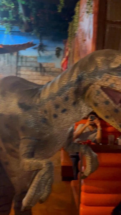 DINOLAND CAFE - Updated February 2026 - 462 Photos & 392 Reviews - 1012 ...