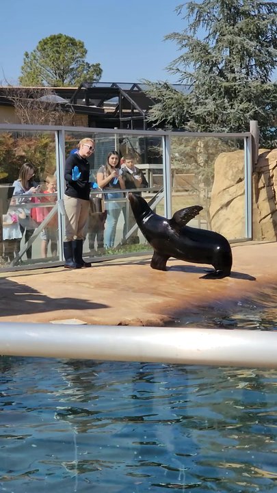 TULSA ZOO - Updated August 2025 - 529 Photos & 142 Reviews - 6421 E ...