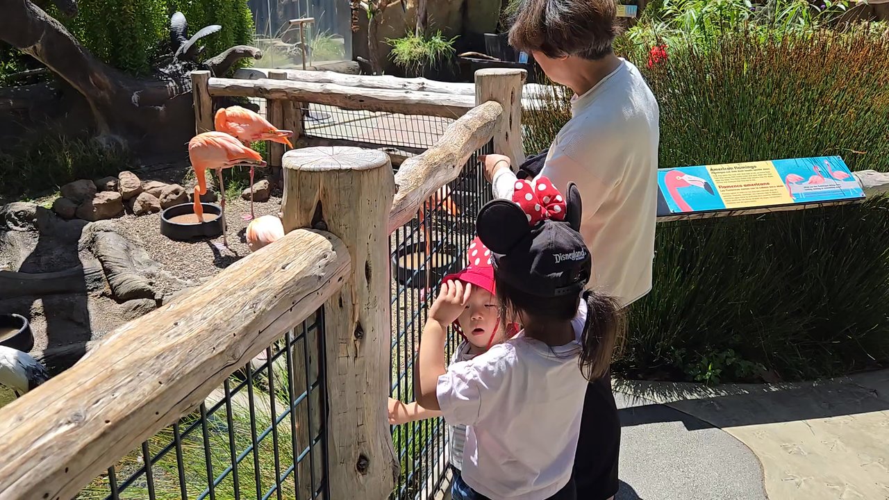 PALO ALTO JUNIOR MUSEUM & ZOO - Updated February 2026 - 771 Photos ...