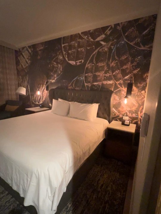 HOTEL INDIGO NAPERVILLE RIVERWALK - Updated May 2026 - 91 Photos & 95 ...