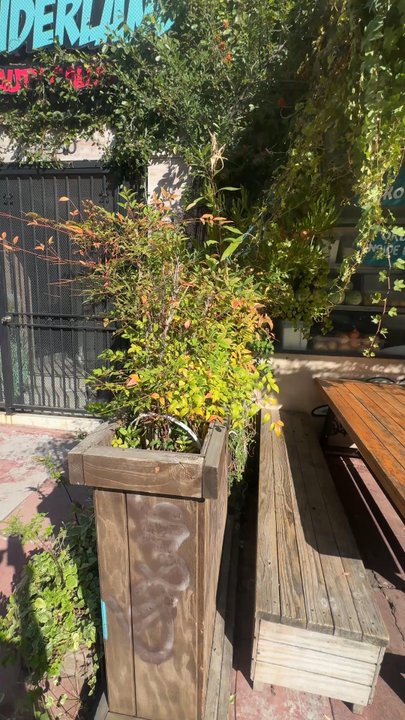 YUKO KITCHEN DTLA - Updated December 2025 - 1328 Photos & 633 Reviews ...