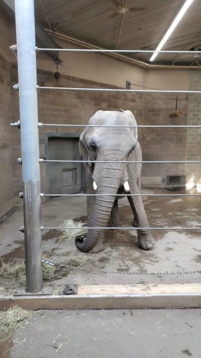 ROGER WILLIAMS PARK ZOO - Updated October 2025 - 1377 Photos & 313 ...