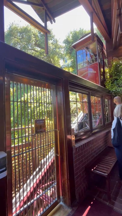 SHADOWBROOK - Updated December 2025 - 8748 Photos & 5948 Reviews - 1750 ...