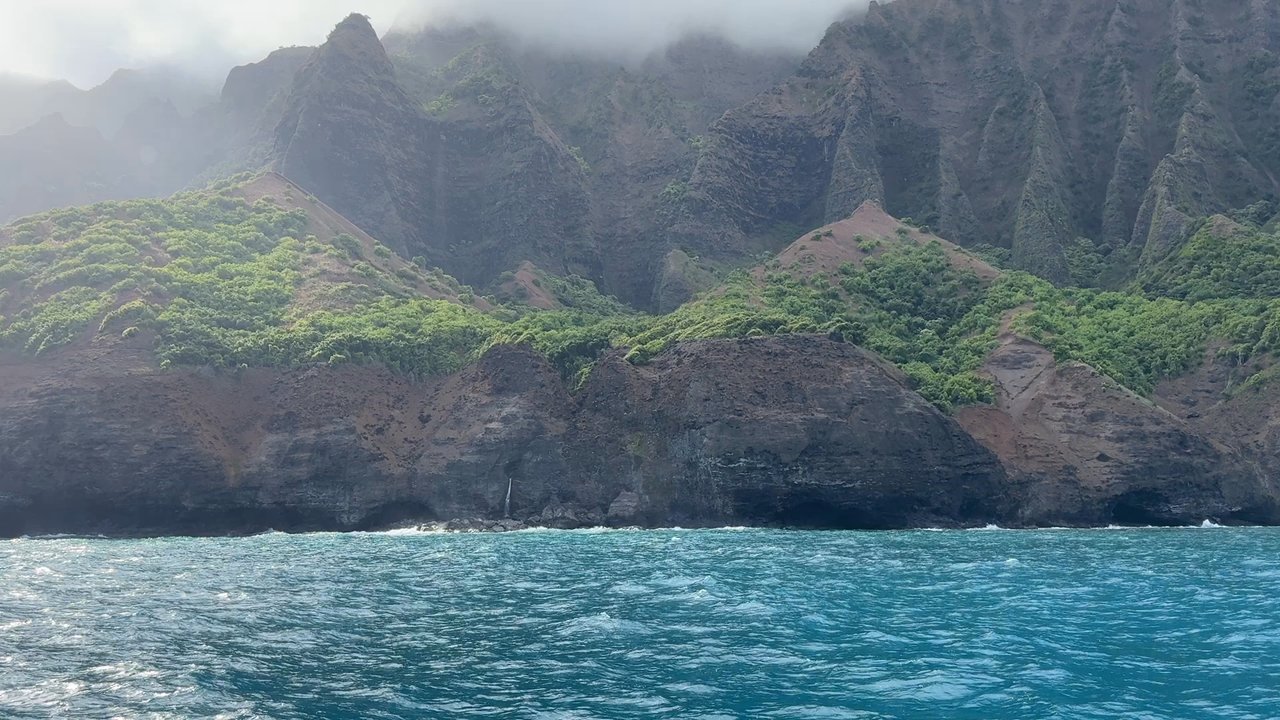 HOLO HOLO CHARTERS - Updated September 2025 - 1039 Photos & 1124 Reviews - 4353 Waialo Rd ...