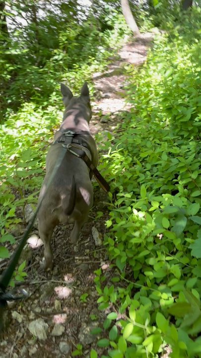 CLIFF DRIVE - Updated January 2026 - 13 Photos & 16 Reviews - 3500 ...