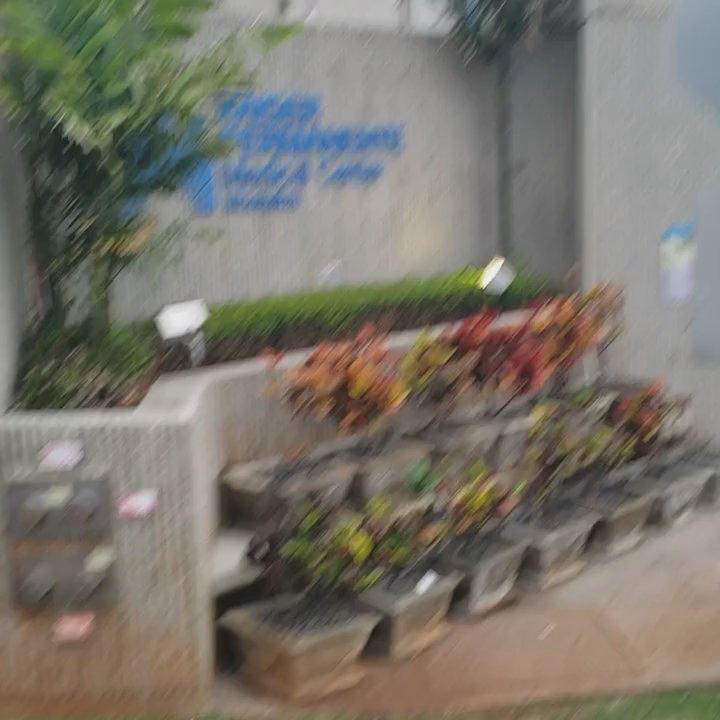 KAISER PERMANENTE MOANALUA MEDICAL CENTER - Updated August 2025 - 262 ...