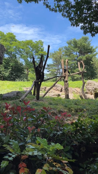 QUEENS ZOO - Updated September 2025 - 1111 Photos & 219 Reviews - 5351 ...