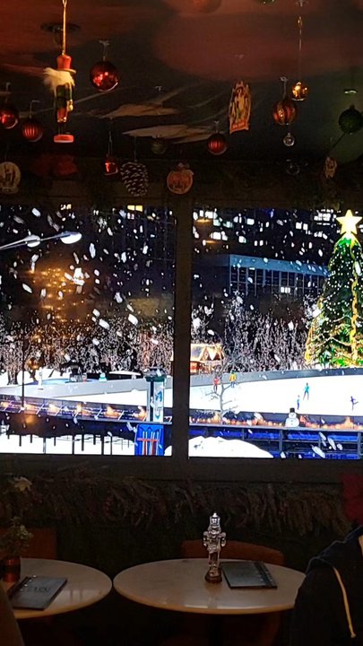 36 BELOW - Updated December 2025 - 932 Photos & 338 Reviews - 3620 E ...