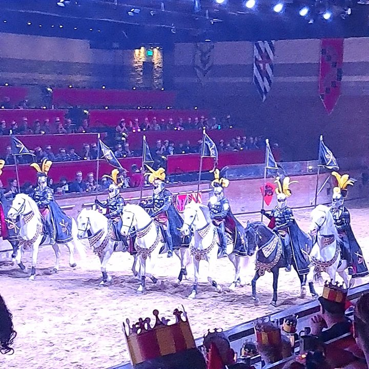 MEDIEVAL TIMES DINNER & TOURNAMENT - Updated January 2026 - 1291 Photos ...