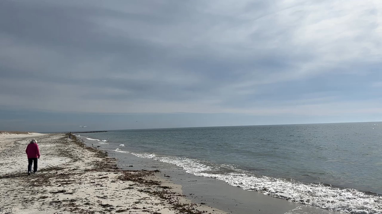 SEAGULL BEACH - Updated May 2026 - 57 Photos & 41 Reviews - Seagull Rd ...