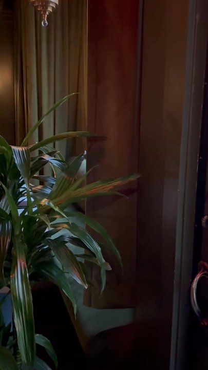 JUPITER SUPPER CLUB - Updated July 2025 - 68 Photos & 29 Reviews - 718 ...