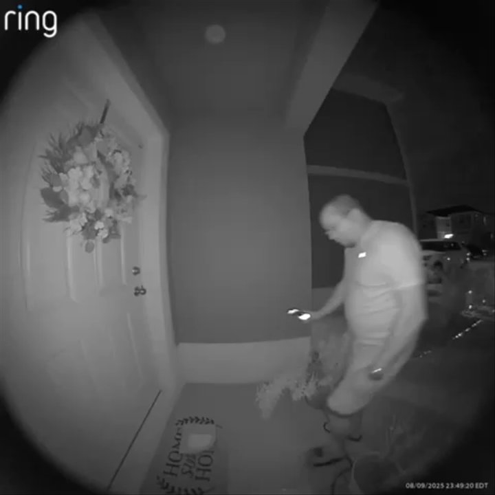 GOFO EXPRESS - Updated November 2025 - 25 Photos & 158 Reviews - 36-47 ...