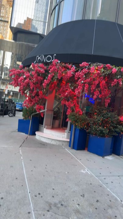 SKINOS - Updated July 2025 - 532 Photos & 192 Reviews - 123 Washington ...