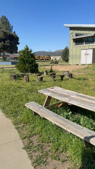 CAMP CUYAMACA - Updated December 2025 - 25 Photos & 49 Reviews - 12561 ...