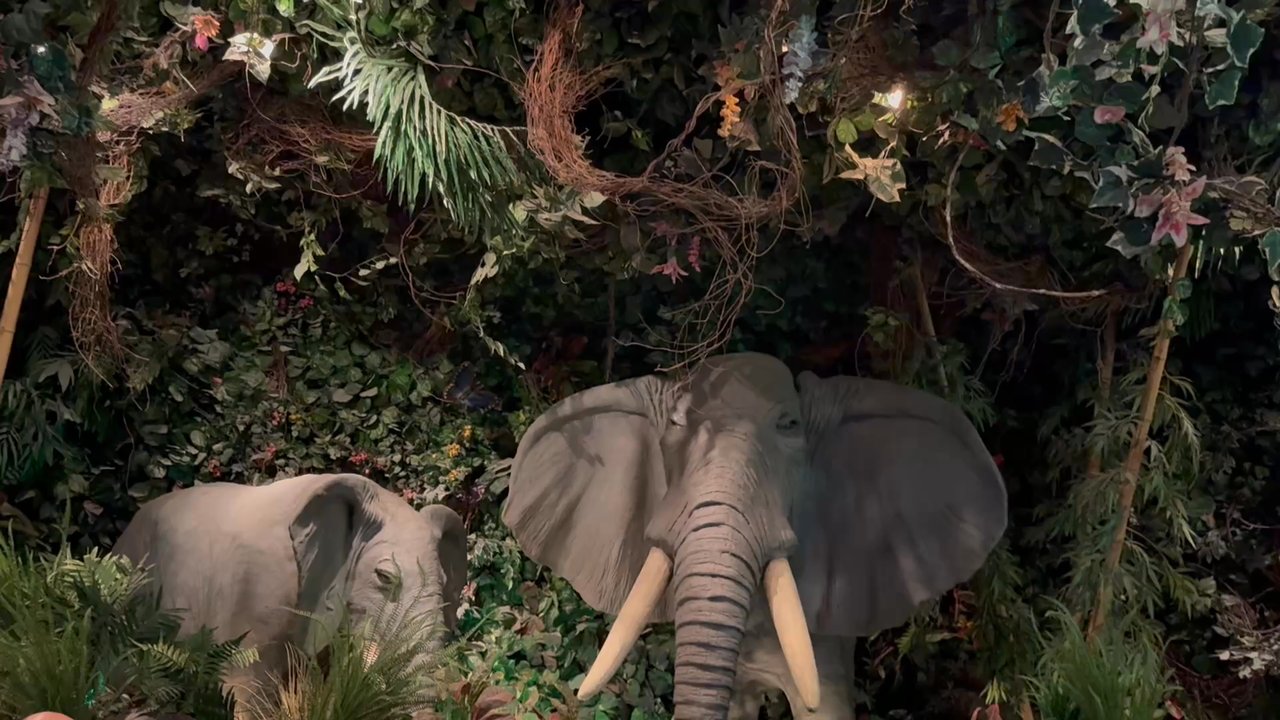 RAINFOREST CAFE - Updated May 2026 - 646 Photos & 741 Reviews - 5000 S ...