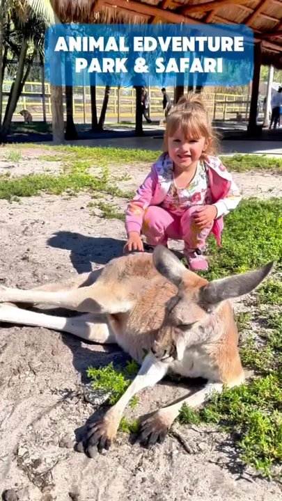 ANIMAL EDVENTURE PARK & SAFARI - Updated October 2025 - 572 Photos ...