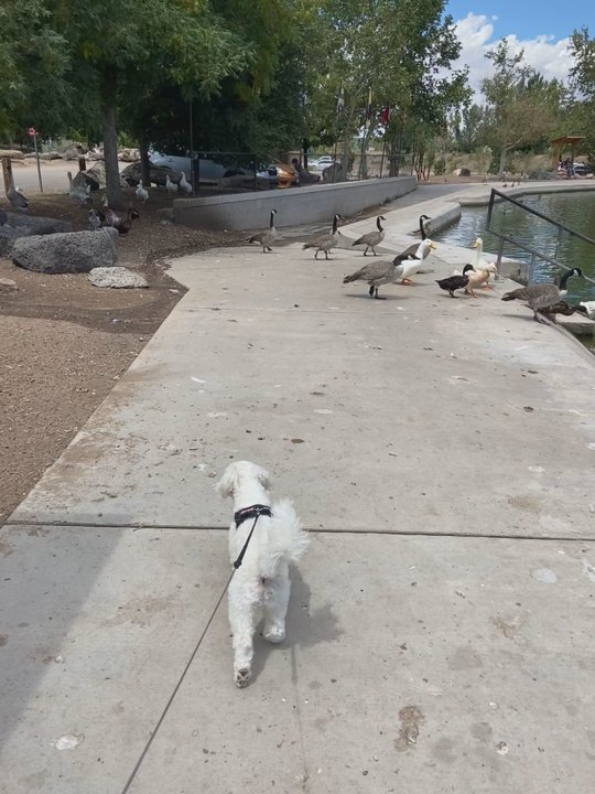 TINGLEY BEACH - Updated May 2026 - 191 Photos & 42 Reviews - 1800 ...
