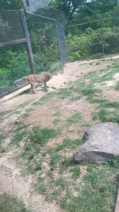 CALDWELL ZOO - Updated October 2025 - 440 Photos & 121 Reviews - 2203 W ...