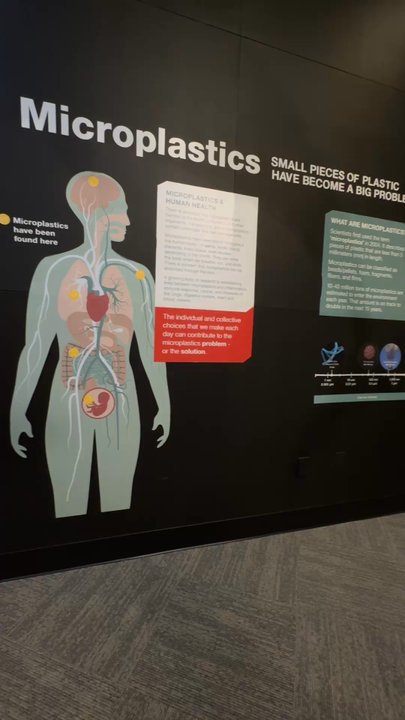 THE HEALTH MUSEUM - Updated May 2026 - 502 Photos & 153 Reviews - 1515 ...