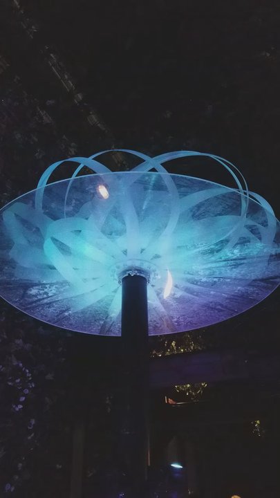 TORONTO LIGHT FESTIVAL - Updated May 2026 - 123 Photos & 15 Reviews ...