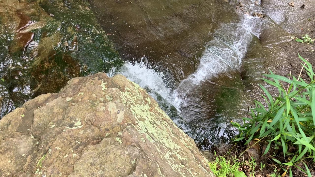 FALL RUN PARK - Updated May 2026 - 123 Photos & 29 Reviews - 187 Falls ...