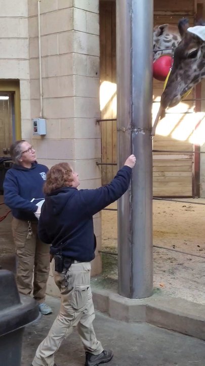 ROGER WILLIAMS PARK ZOO - Updated October 2025 - 1377 Photos & 313 ...