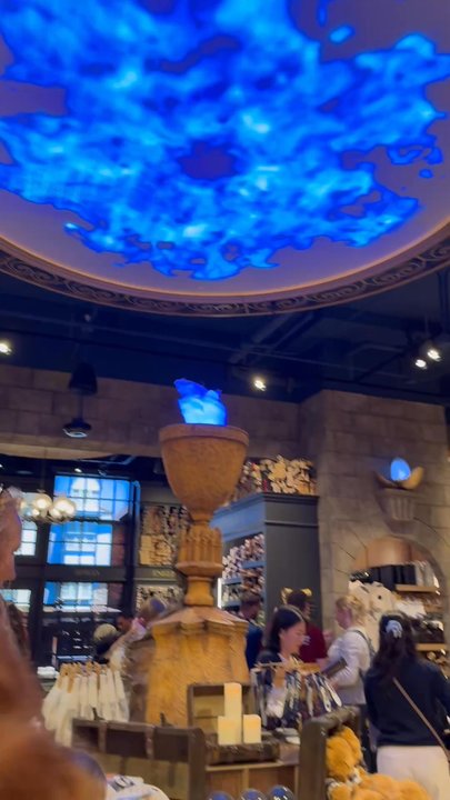 HARRY POTTER SHOP - Updated February 2026 - 584 Photos & 108 Reviews ...