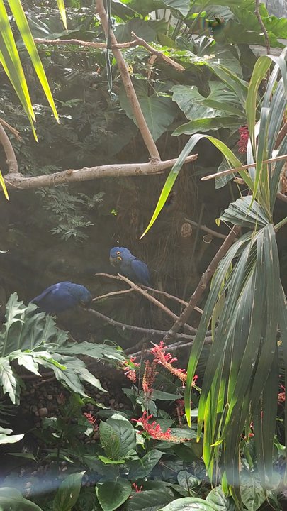 ROGER WILLIAMS PARK ZOO - Updated July 2025 - 1339 Photos & 308 Reviews ...