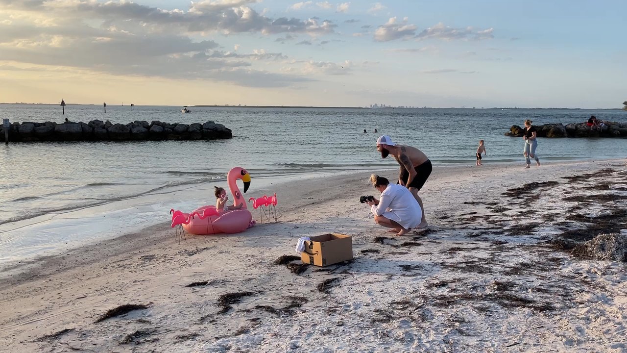 APOLLO BEACH NATURE PRESERVE - Updated December 2025 - 249 Photos & 48 ...
