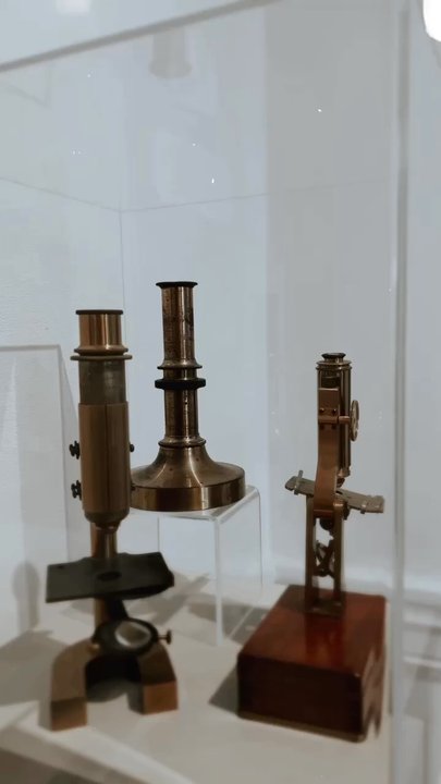 INTERNATIONAL MUSEUM OF SURGICAL SCIENCE - Updated December 2025 - 649 ...