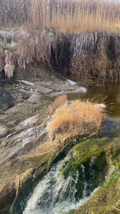 CHINA RANCH DATE FARM - Updated December 2025 - 493 Photos & 130 ...