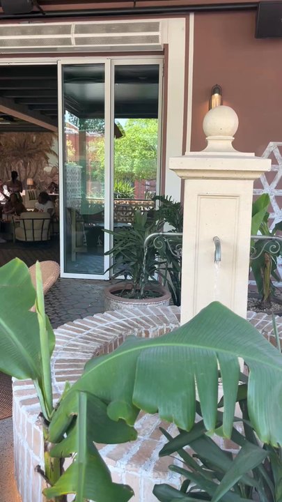 PALMA - Updated March 2026 - 320 Photos & 94 Reviews - 2625 Main St ...