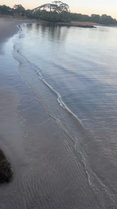 TIKI BEACH PIER RESTAURANT - Updated October 2025 - 123 Photos & 73 ...