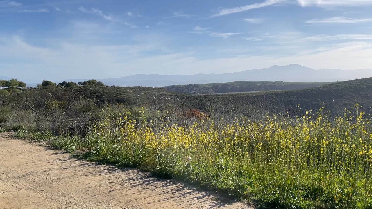 PACIFIC RIDGE TRAILHEAD - Updated December 2025 - 126 Photos & 40 ...