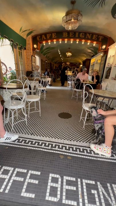CAFE BEIGNET, ROYAL STREET - Updated April 2025 - 4049 Photos & 3376 ...