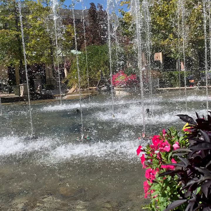 STATION PARK - Updated January 2026 - 31 Photos & 57 Reviews - 140 N ...