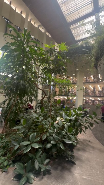 DOWNTOWN RENO LIBRARY - Updated August 2025 - 84 Photos & 36 Reviews ...