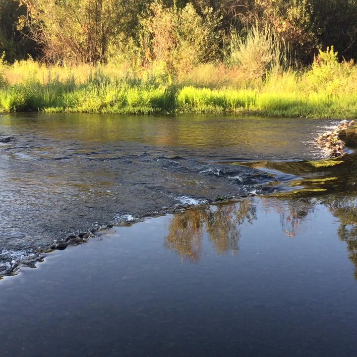 TURLOCK LAKE STATE RECREATION AREA - Updated December 2025 - 119 Photos ...