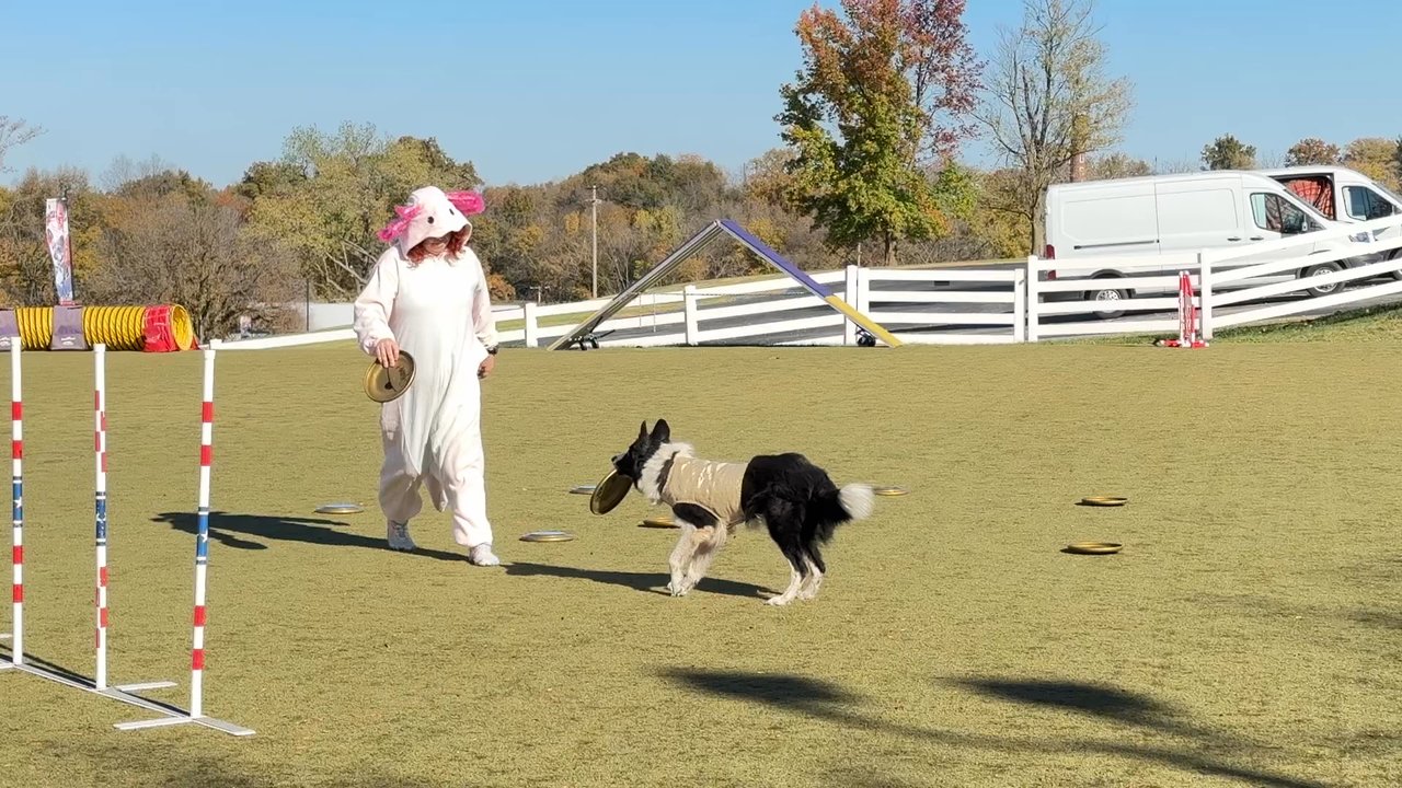 PURINA FARMS - TEMP. CLOSED - Updated December 2025 - 161 Photos & 56 ...