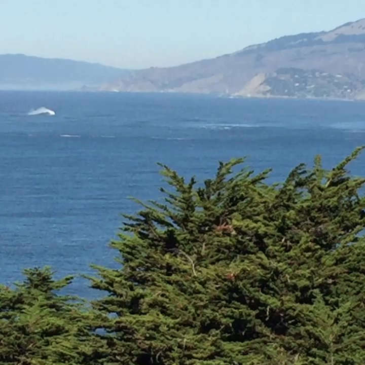 SAN FRANCISCO VA MEDICAL CENTER - Updated December 2025 - 86 Photos ...