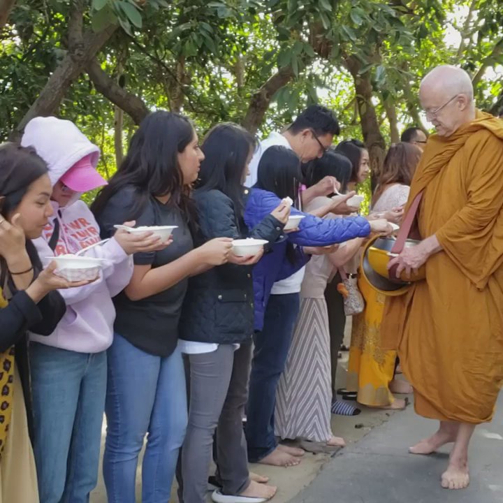 METTA FOREST MONASTERY - Updated October 2025 - 233 Photos - 13560 ...