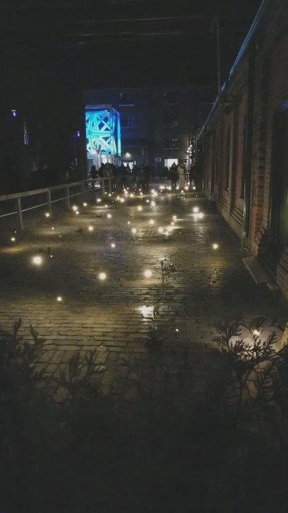 TORONTO LIGHT FESTIVAL - Updated May 2026 - 123 Photos & 15 Reviews ...