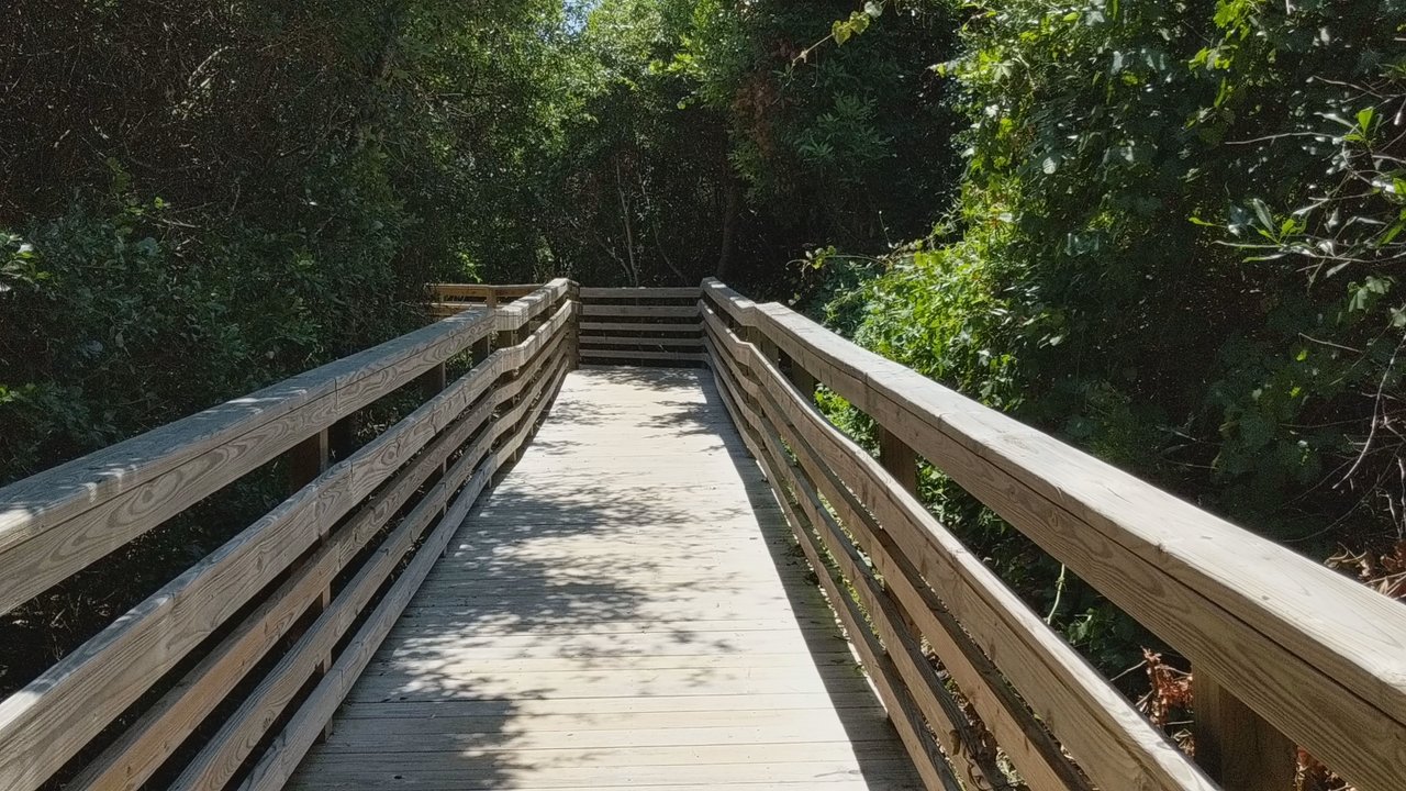 SALTER PATH BEACH ACCESS - Updated December 2025 - 58 Photos - 1025 ...